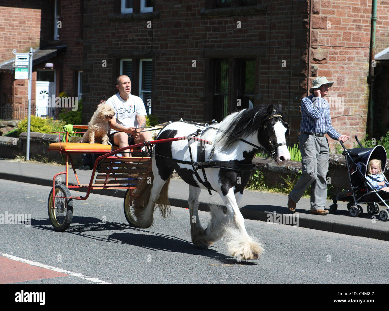 Gypsy Trotting Race Gypsy Horse High Resolution Stock Photography and ...
