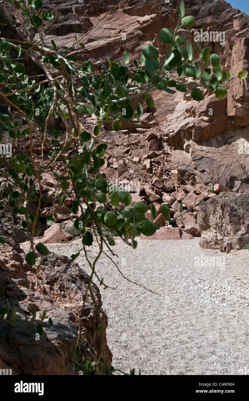 Eilat Mts.Nature reserve,Arabah Valley ,Great Rift Valley ,Israel Stock ...