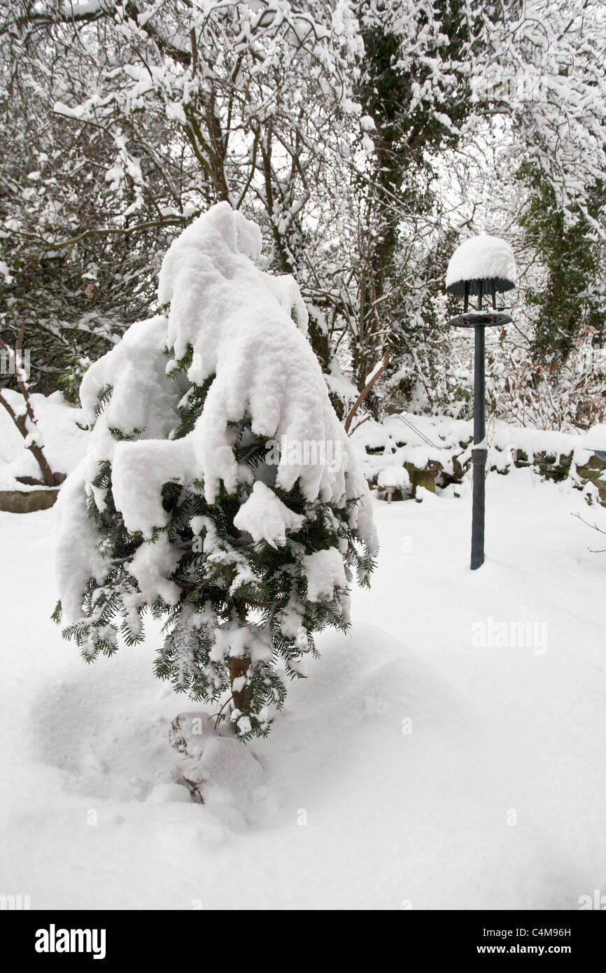Conifer Tree and Ornamental Bird Table Covered in Snow Stock Photo - Alamy