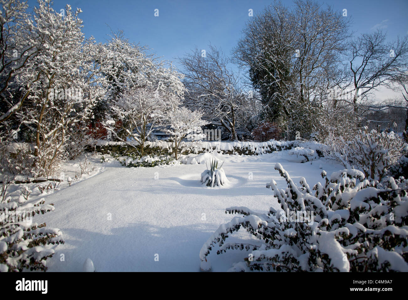 Garden covered in snow Stock Photo - Alamy