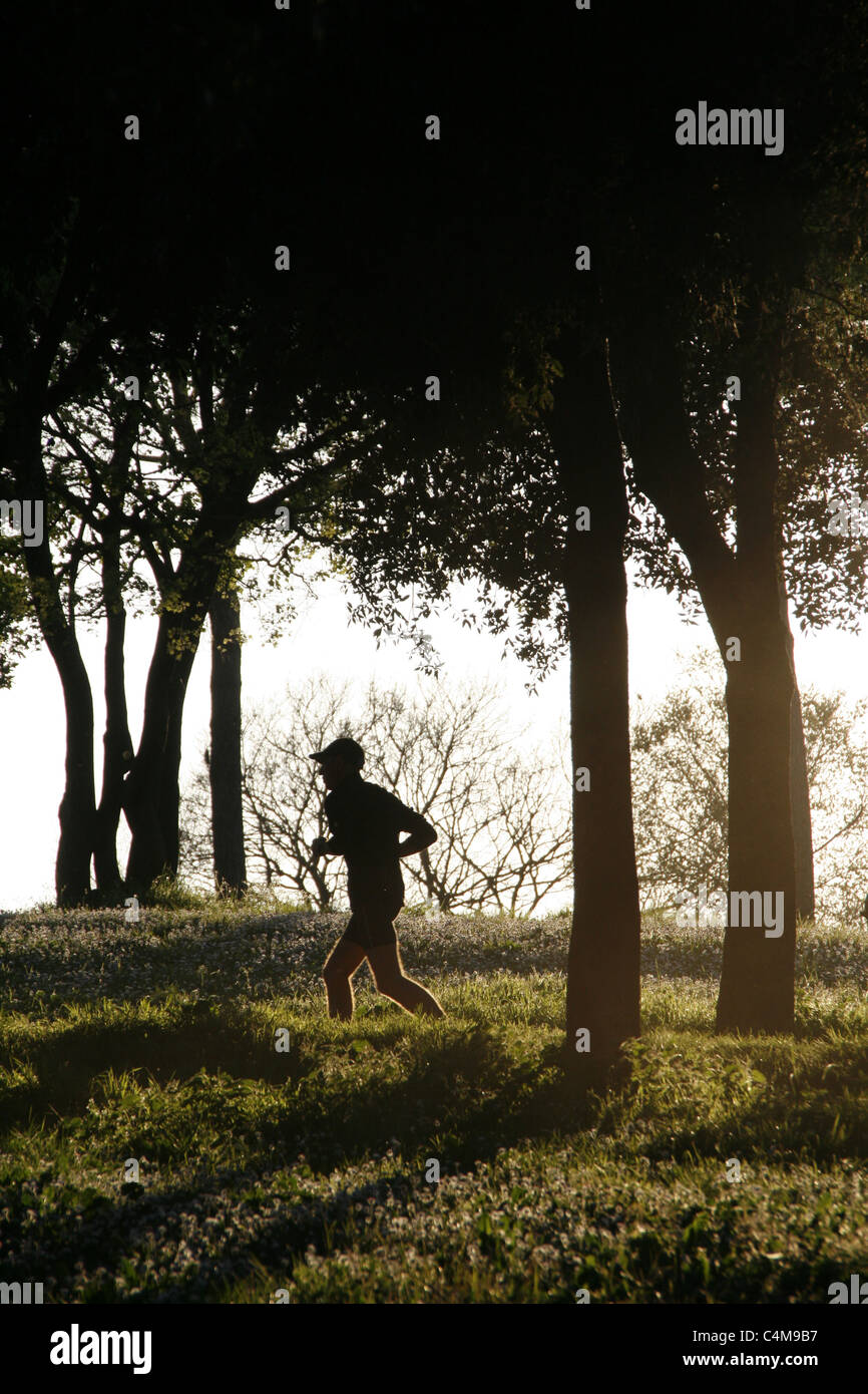 silhouette lonely runner in woods at dusk Stock Photo - Alamy