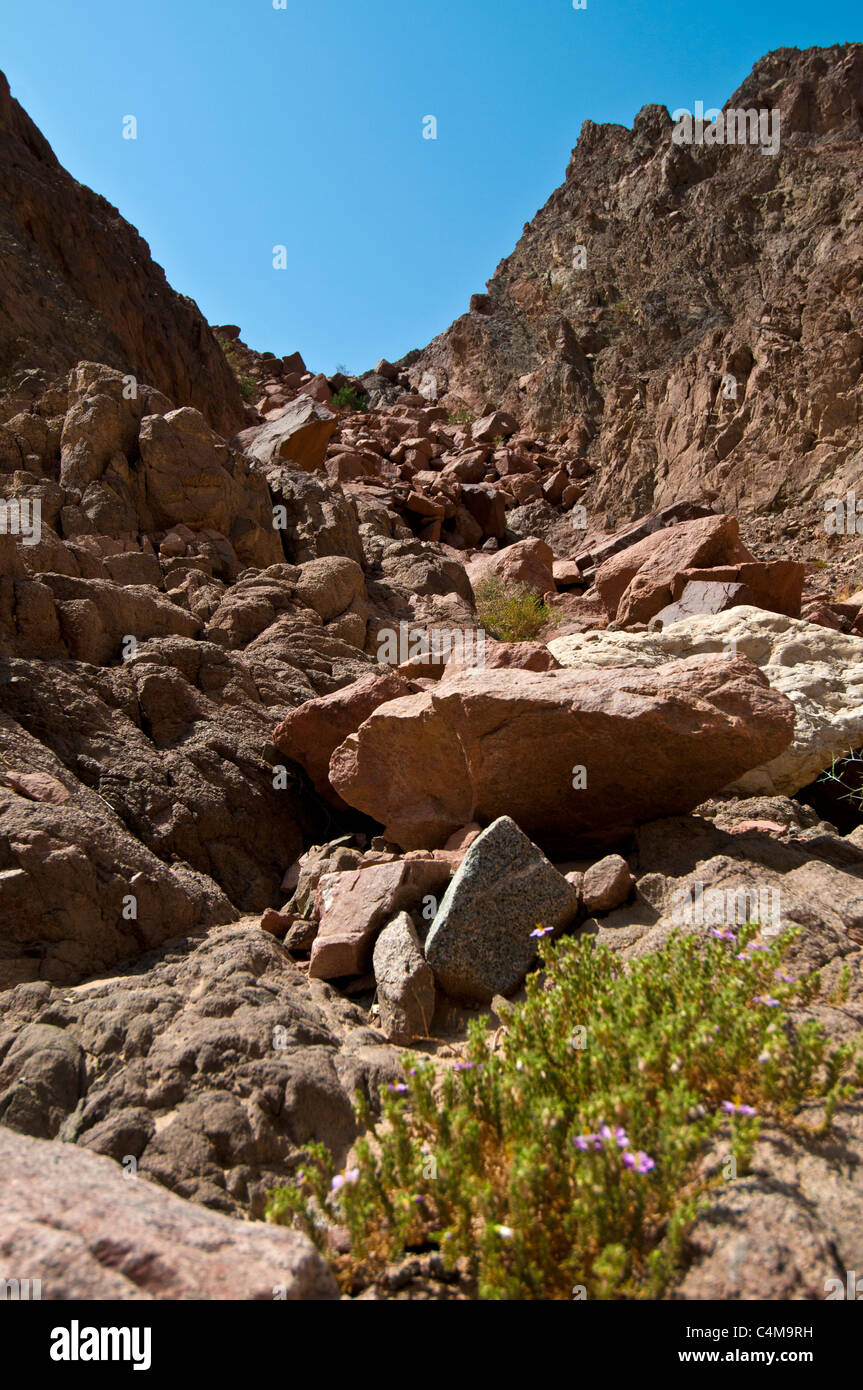 Eilat Mts.Nature reserve,Arabah Valley ,Great Rift Valley ,Israel Stock ...