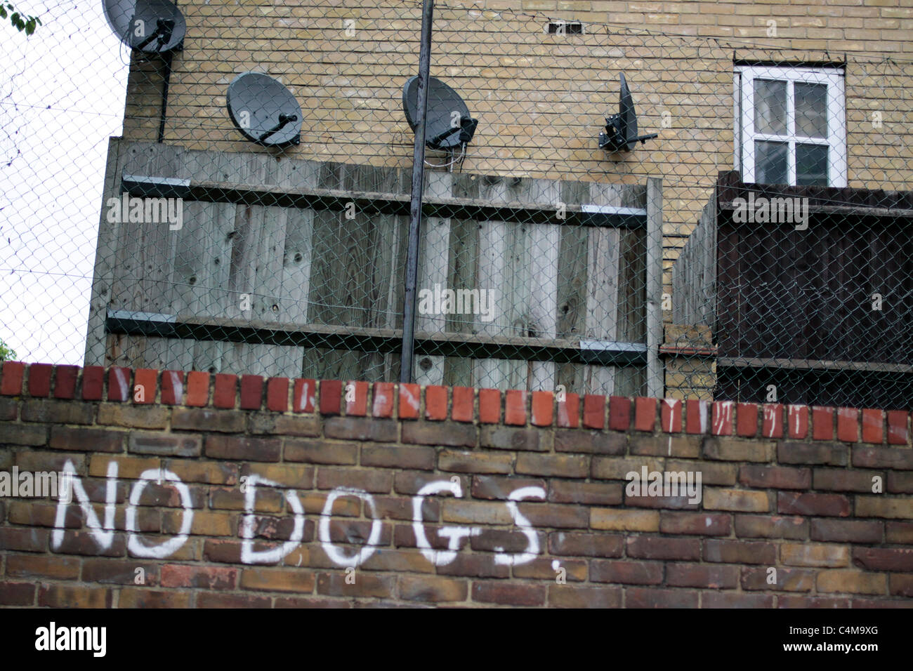 'No Dogs' sign on a playground wall in London Stock Photo - Alamy