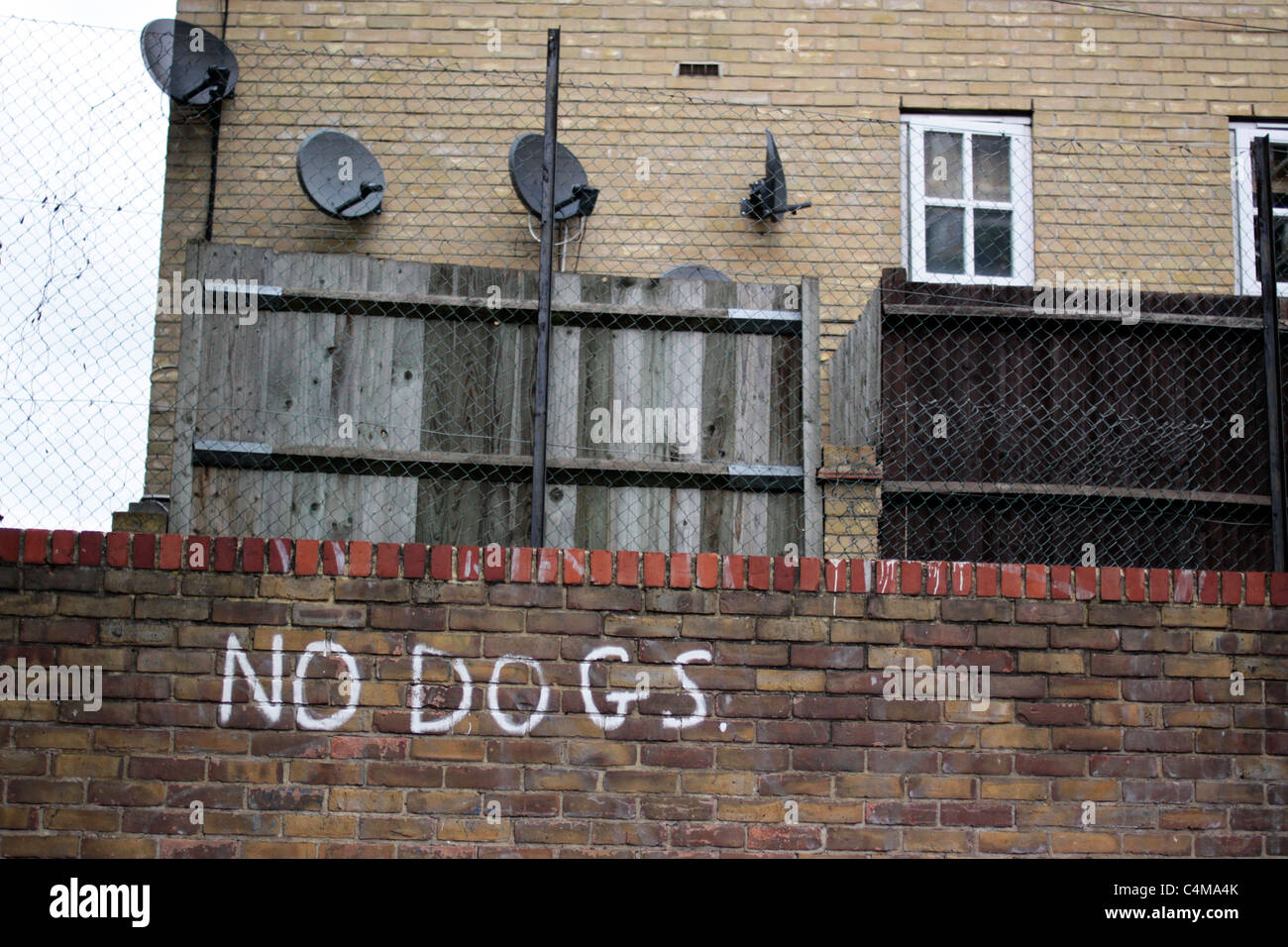 'No Dogs' sign on a playground wall in London Stock Photo - Alamy