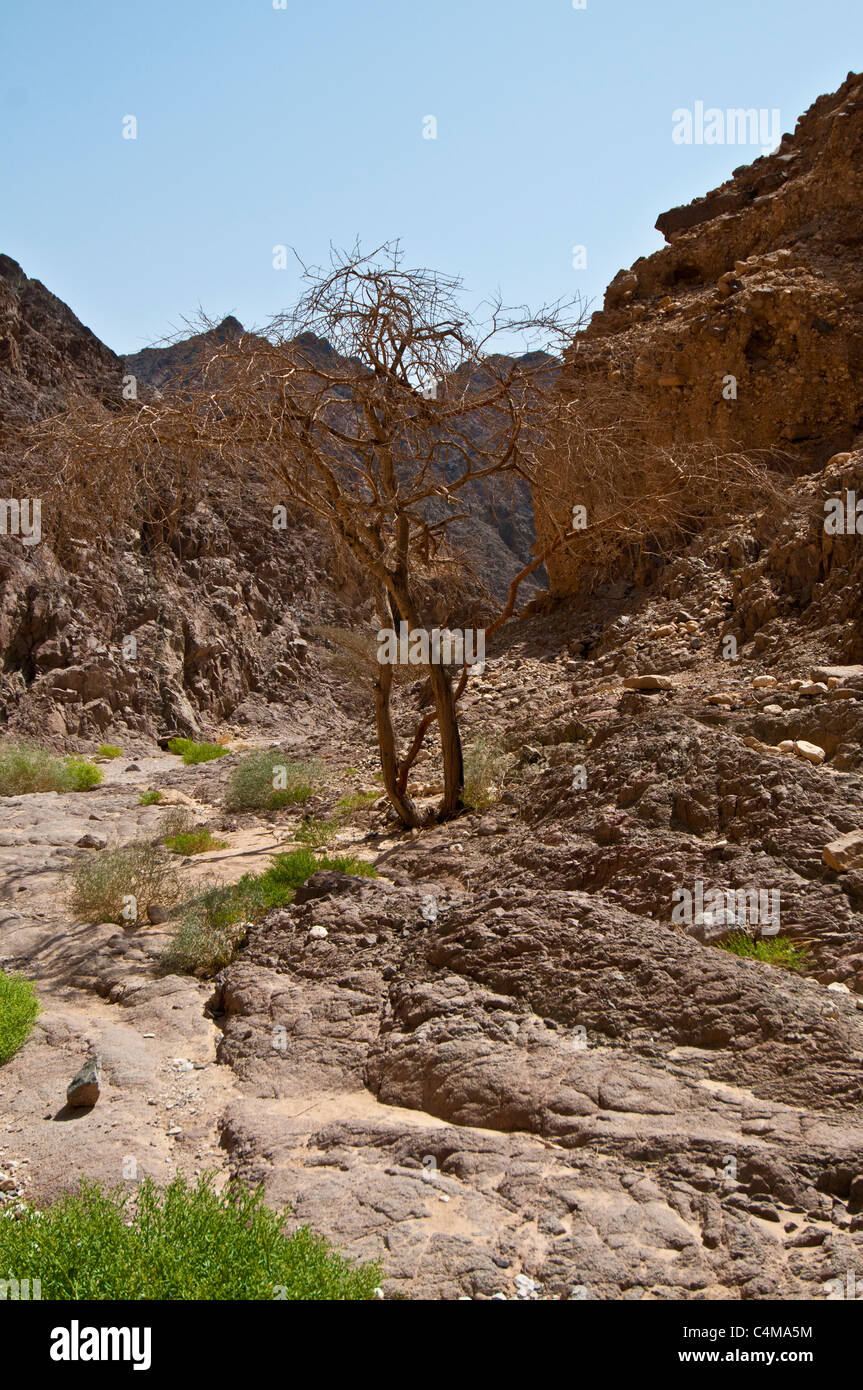Eilat Mts.Nature reserve,Arabah Valley ,Great Rift Valley ,Israel Stock ...