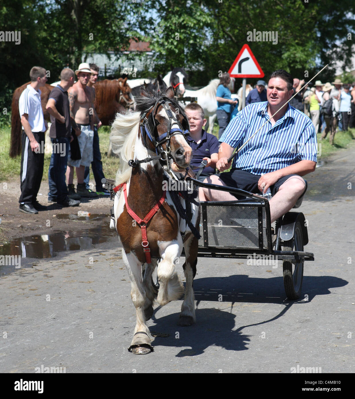 Gypsy horse race hi-res stock photography and images - Alamy