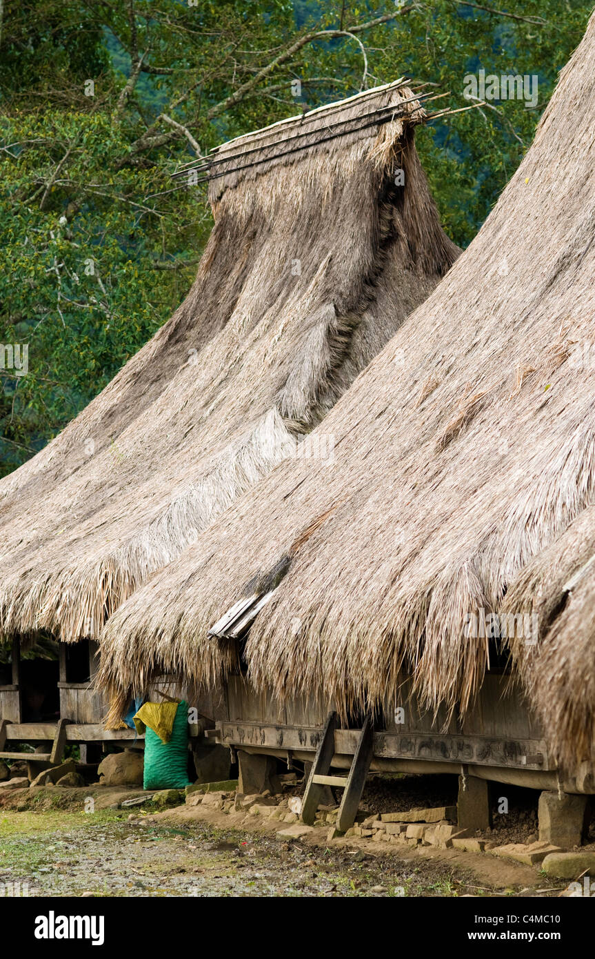Kampung Wologai moni flores indonesia Stock Photo - Alamy