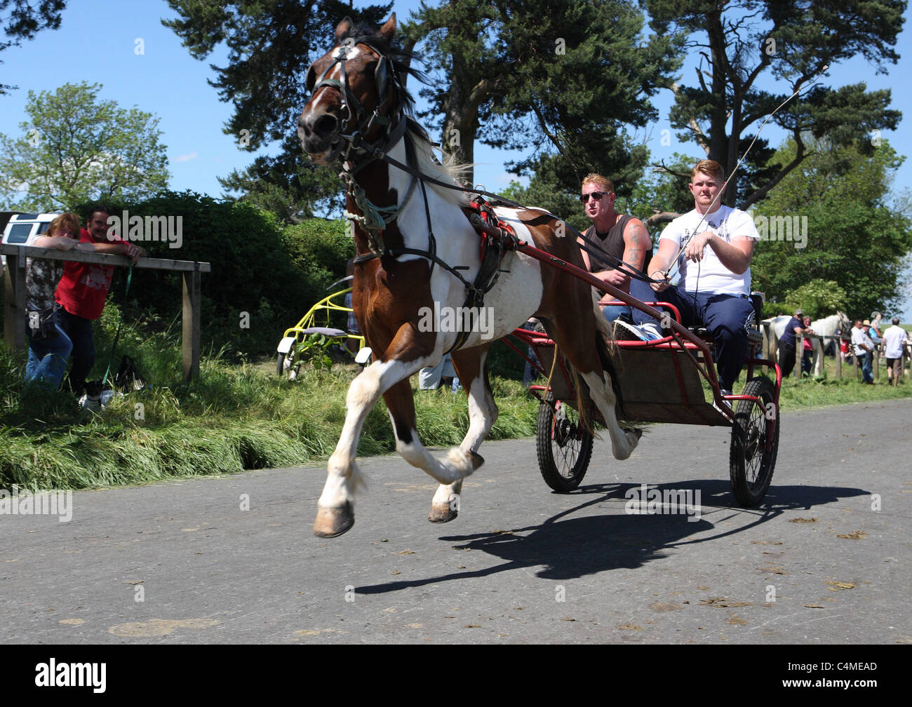 Appleby Horse Fair Westmorland Cumbria Stock Photo - Alamy