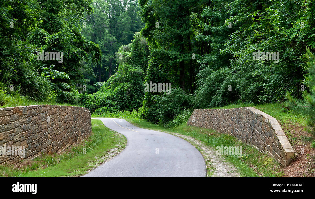 Meandering trail with a stone wall through the woods ...