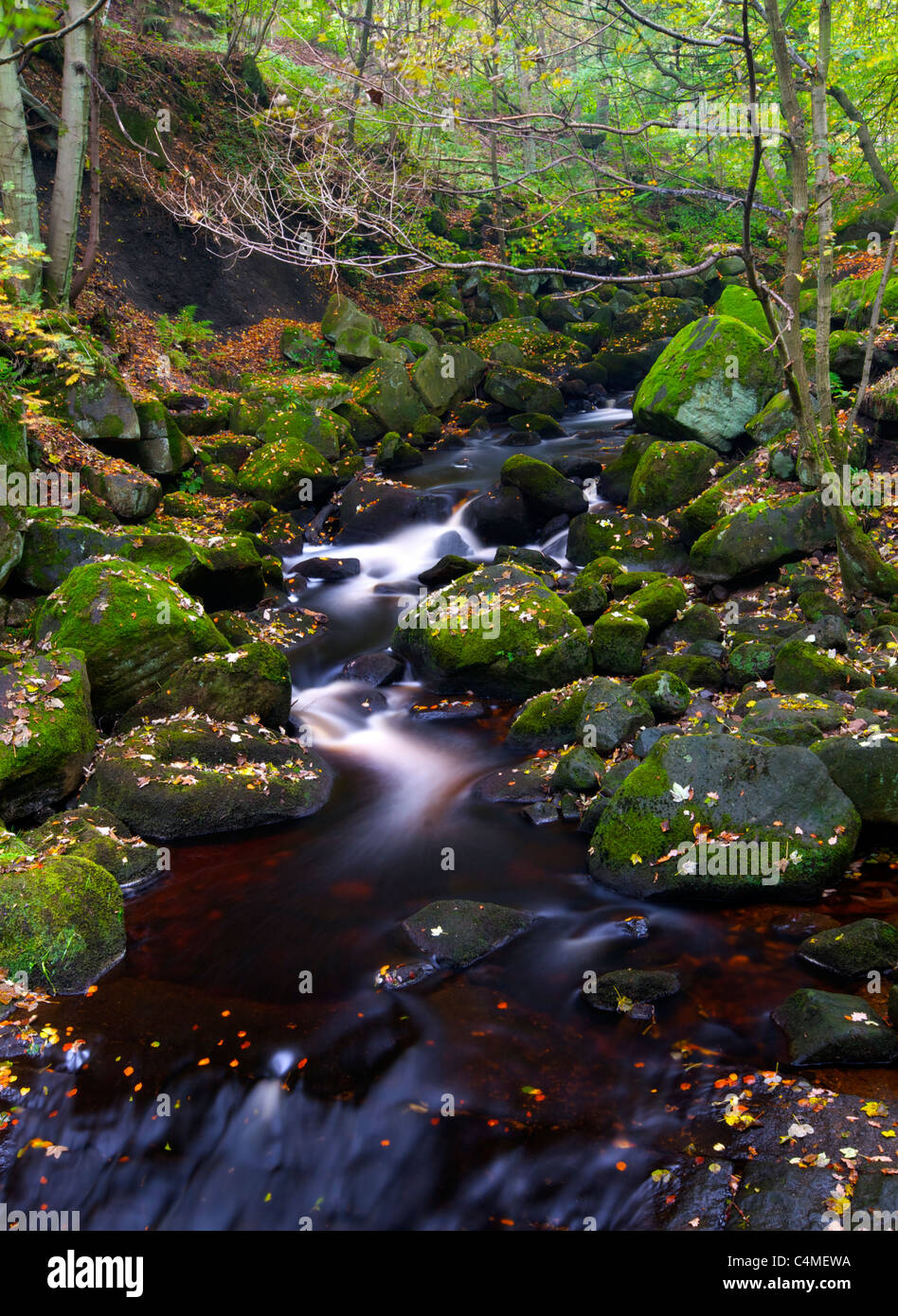 Stream running through a wooded area Stock Photo - Alamy