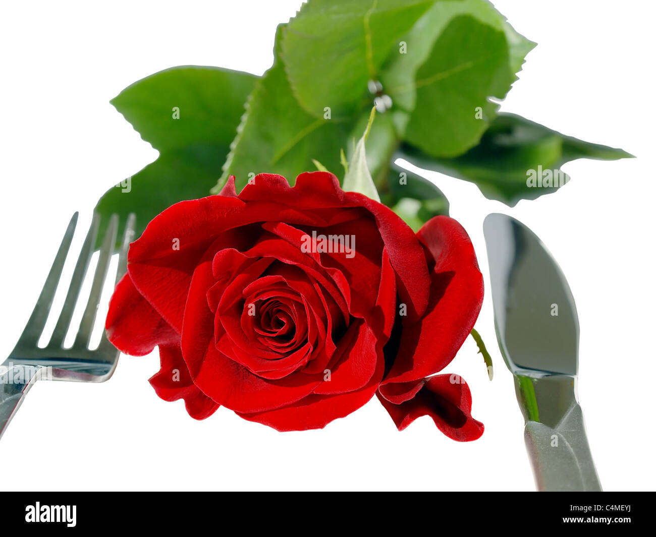 Isolated red rose on the table ready for romantic dinner Stock Photo ...