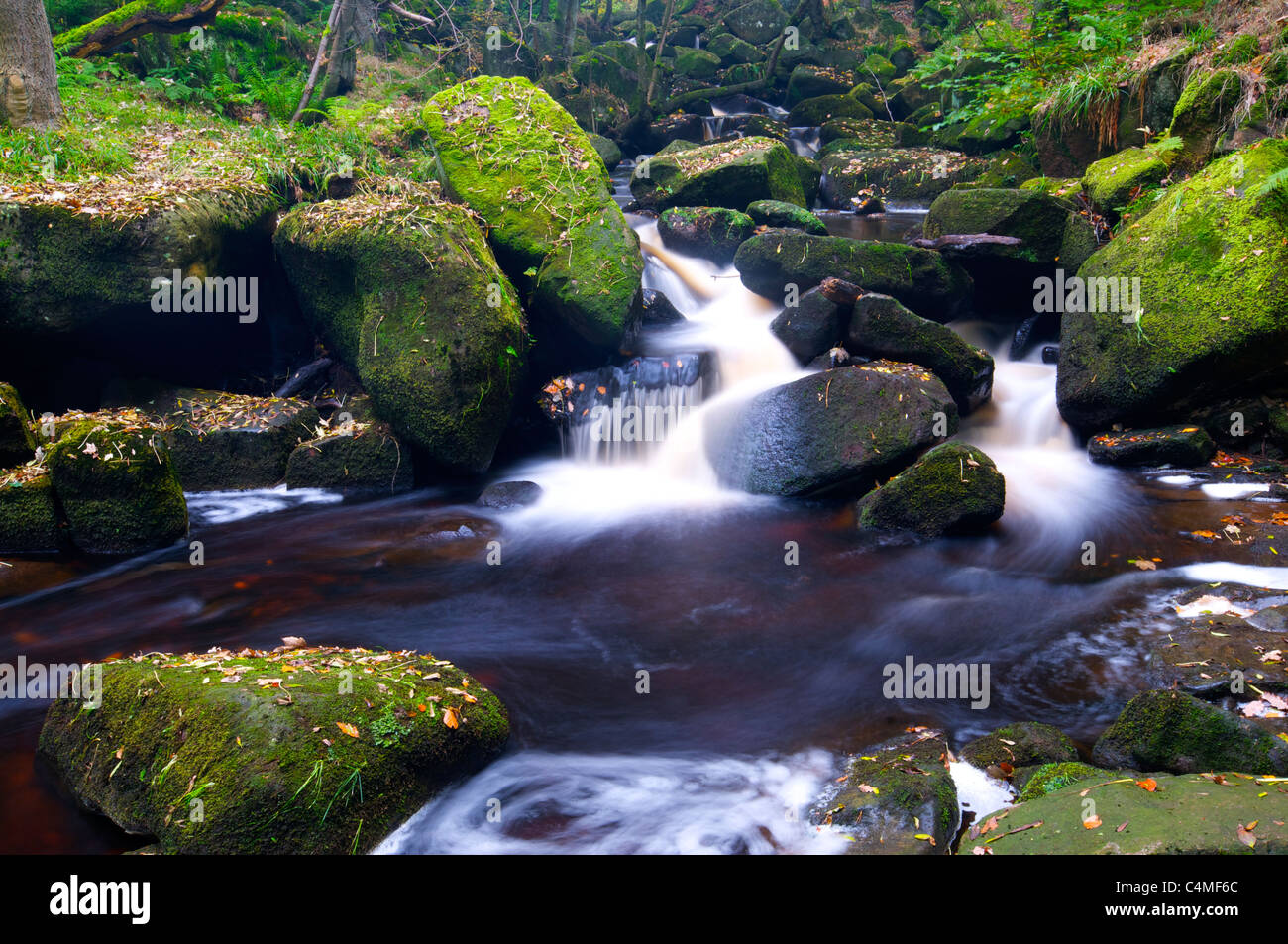 Stream running through a wooded area Stock Photo - Alamy