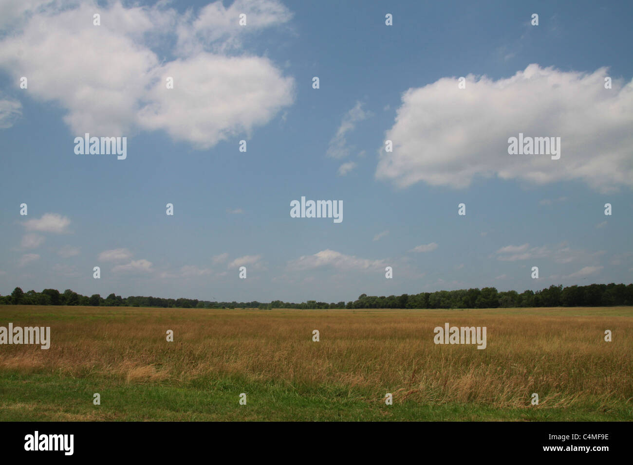 Pea Ridge Military Park in Pea Ridge, Arkansas Stock Photo - Alamy