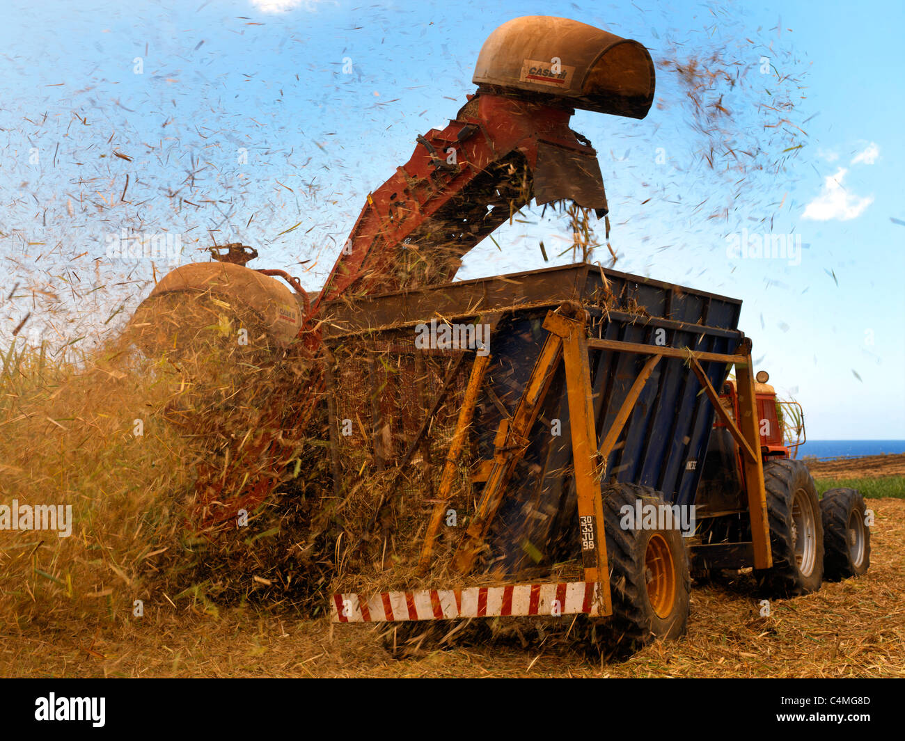 Sugar cane trailer hi-res stock photography and images - Alamy
