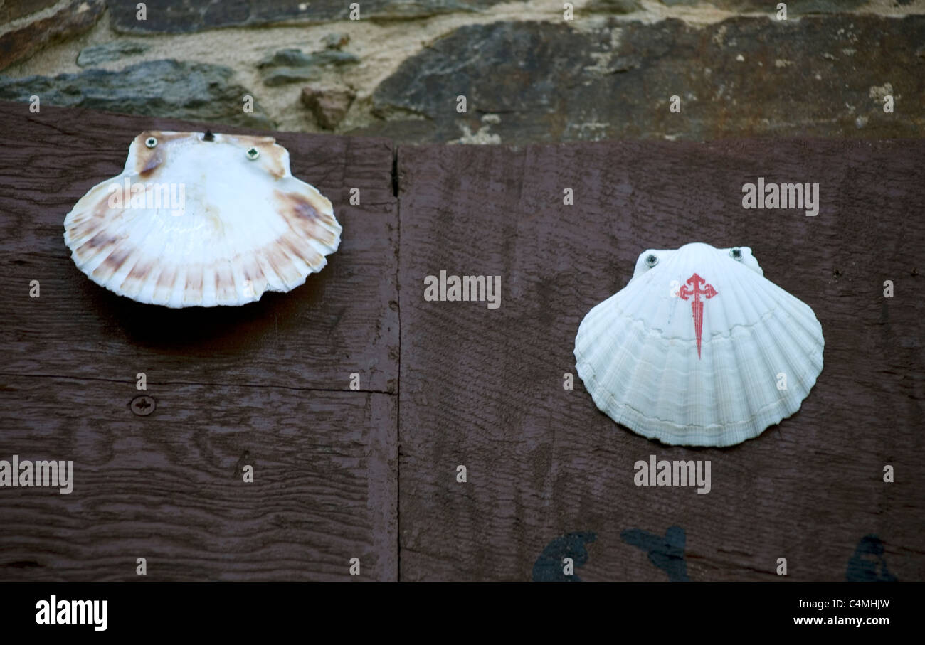 Scallop shells, the traditional emblem of Saint James, in a chapel in ...