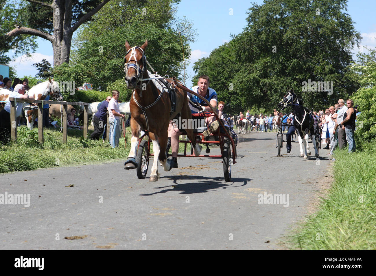 Gypsy trotting race gypsy horse hi-res stock photography and images - Alamy
