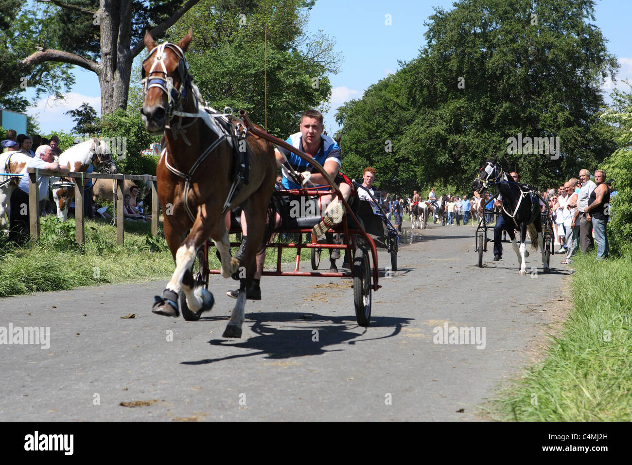 Appleby Horse Fair Westmorland Cumbria Stock Photo - Alamy