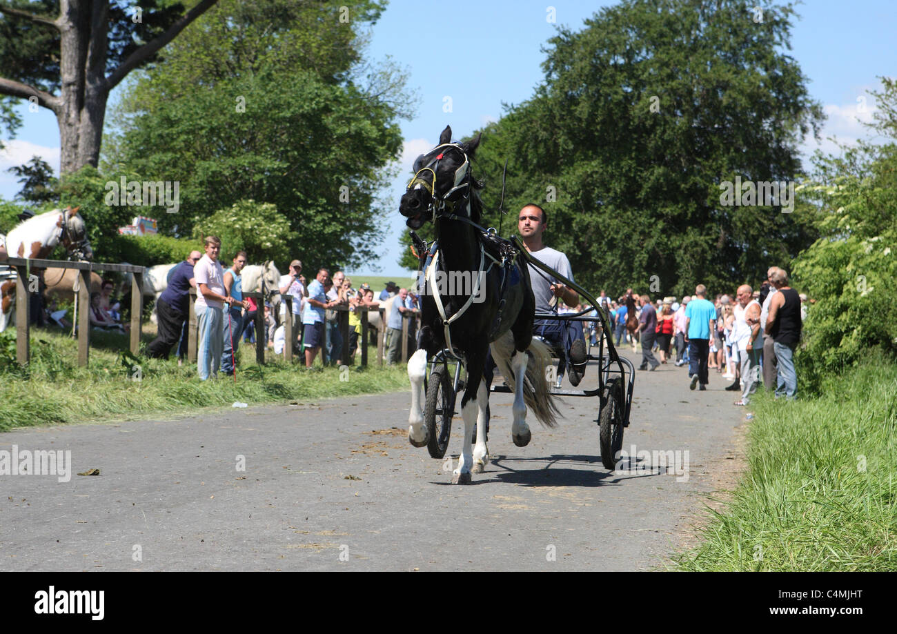 Appleby Horse Fair Westmorland Cumbria Stock Photo - Alamy