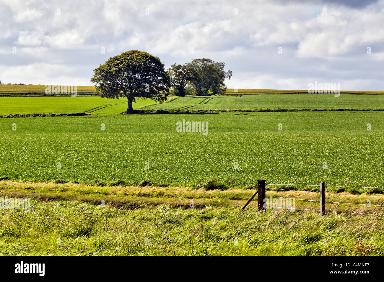 Arable farming field near hi-res stock photography and images - Alamy