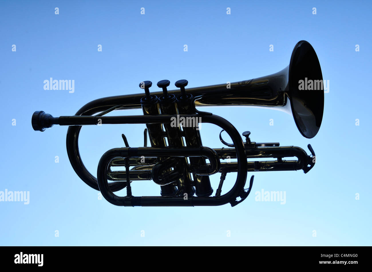 Trumpet studio hi-res stock photography and images - Alamy