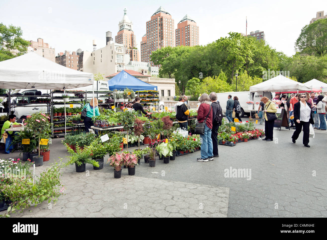 Plant stall hi-res stock photography and images - Alamy