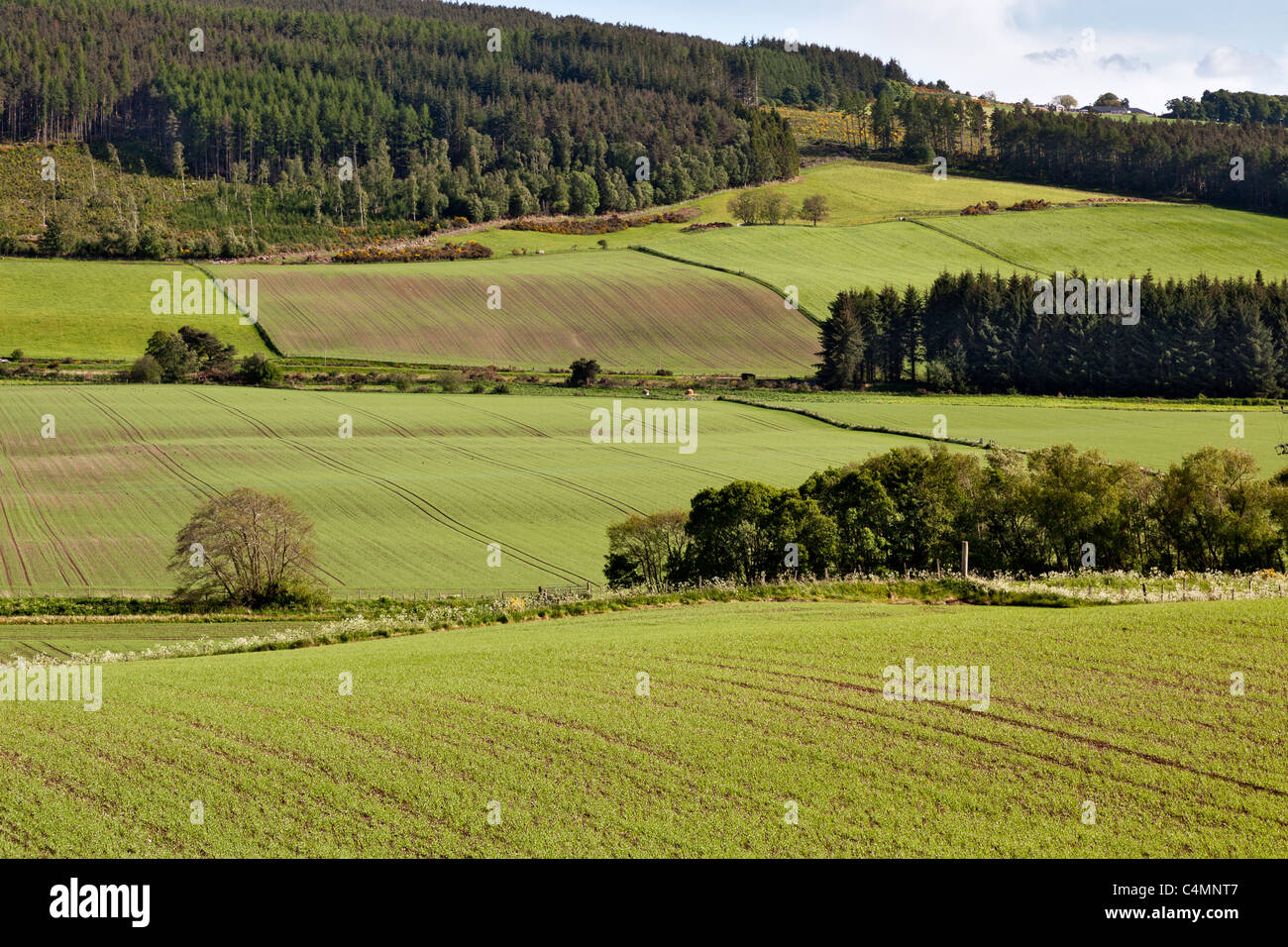 Arable landscape hi-res stock photography and images - Alamy