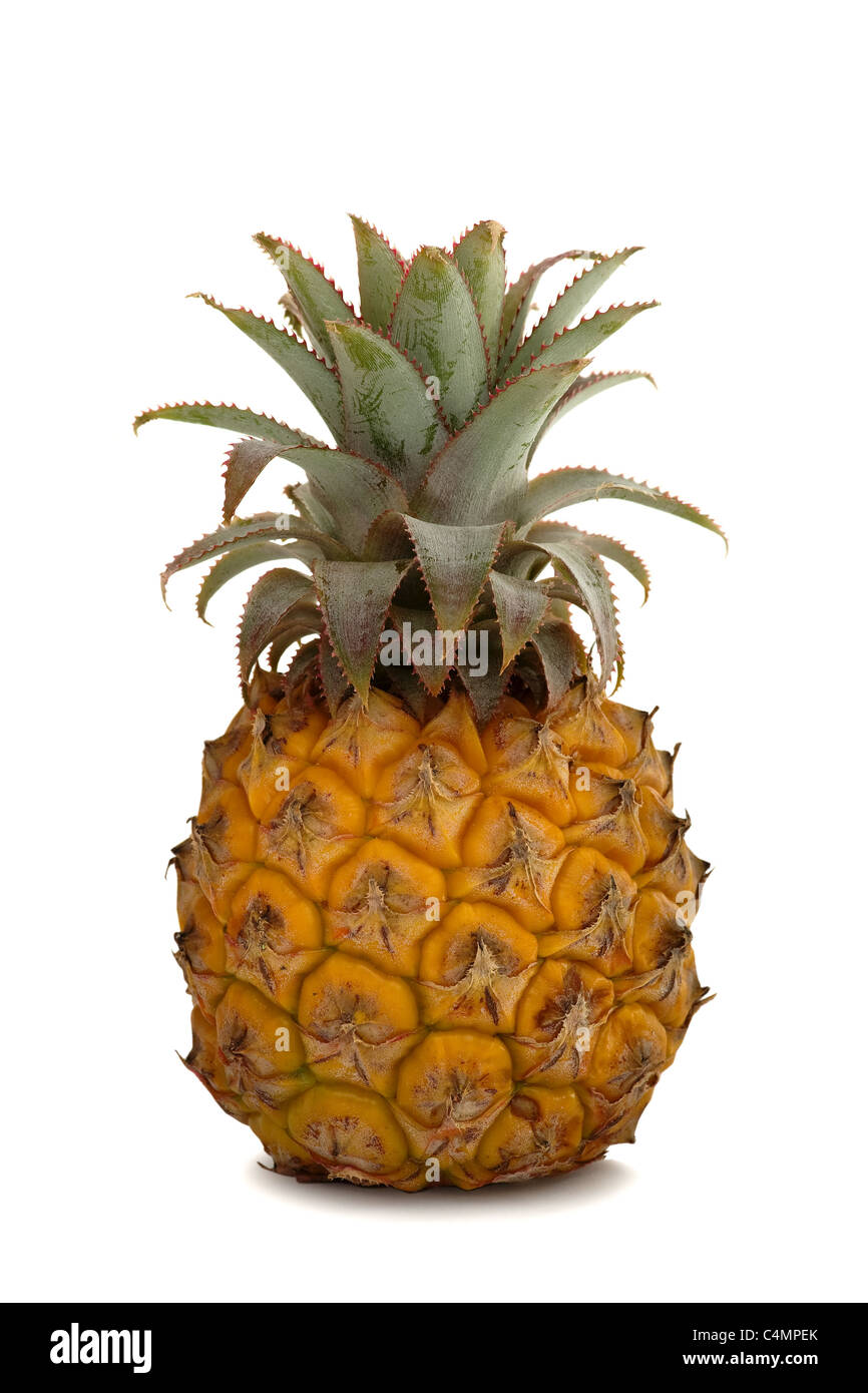 Pineapple stalk hi-res stock photography and images - Alamy
