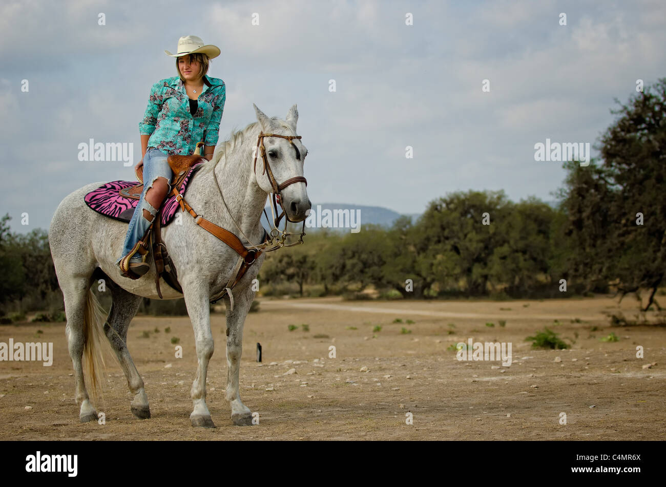 White horse barrel racing hi-res stock photography and images - Alamy