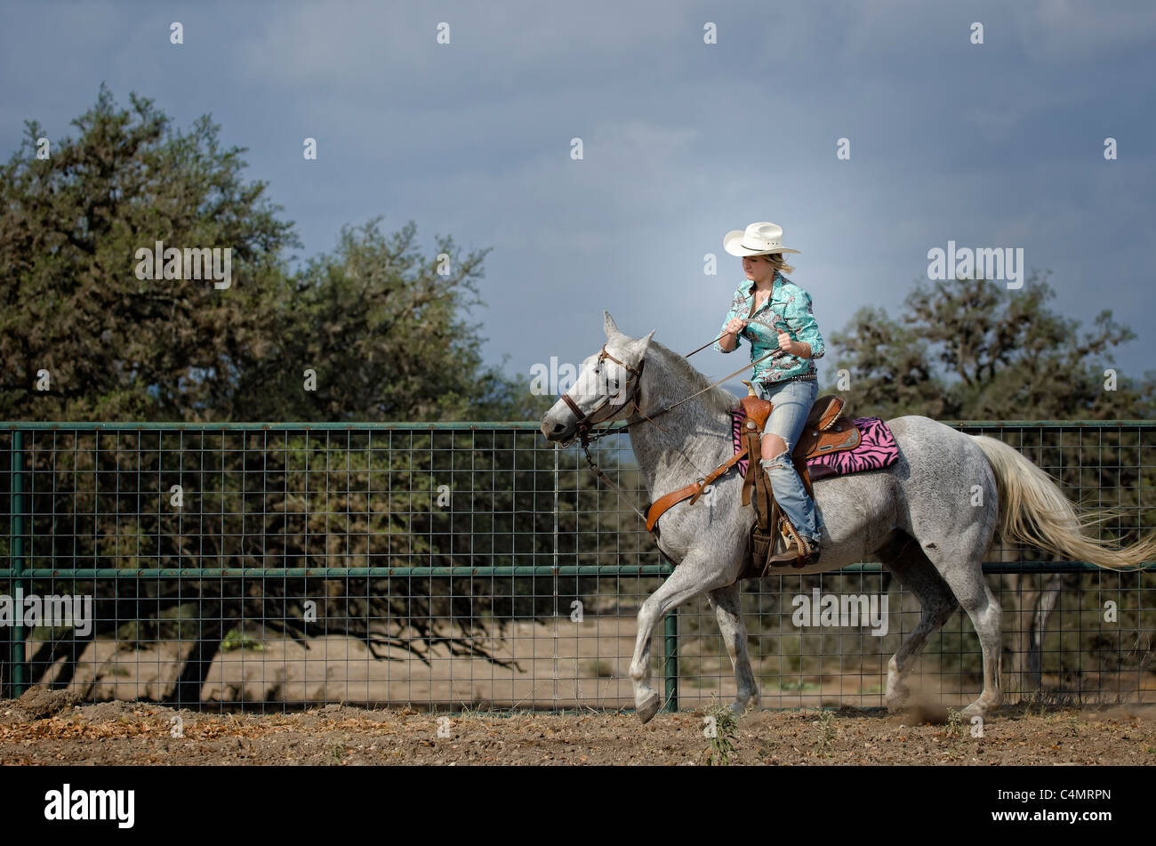 Texas cowgirl horse hi-res stock photography and images - Alamy