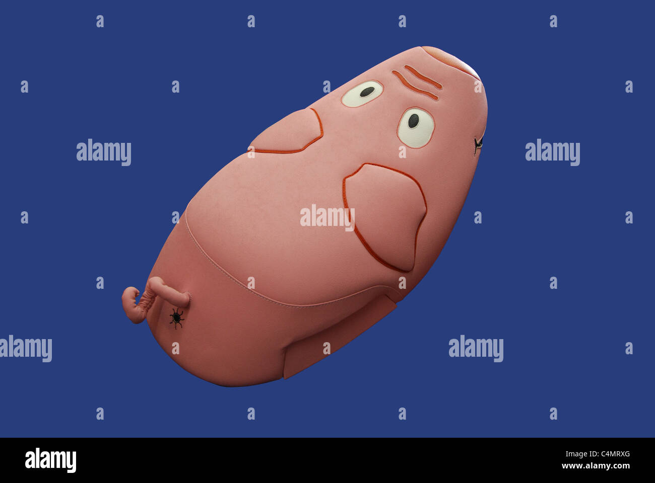 Pig leather hi-res stock photography and images - Alamy