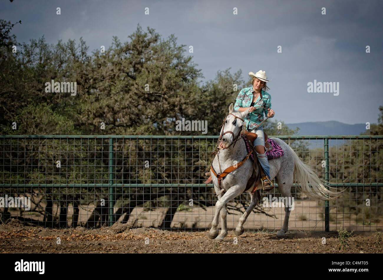 Cowgirl riding horse hi-res stock photography and images - Alamy