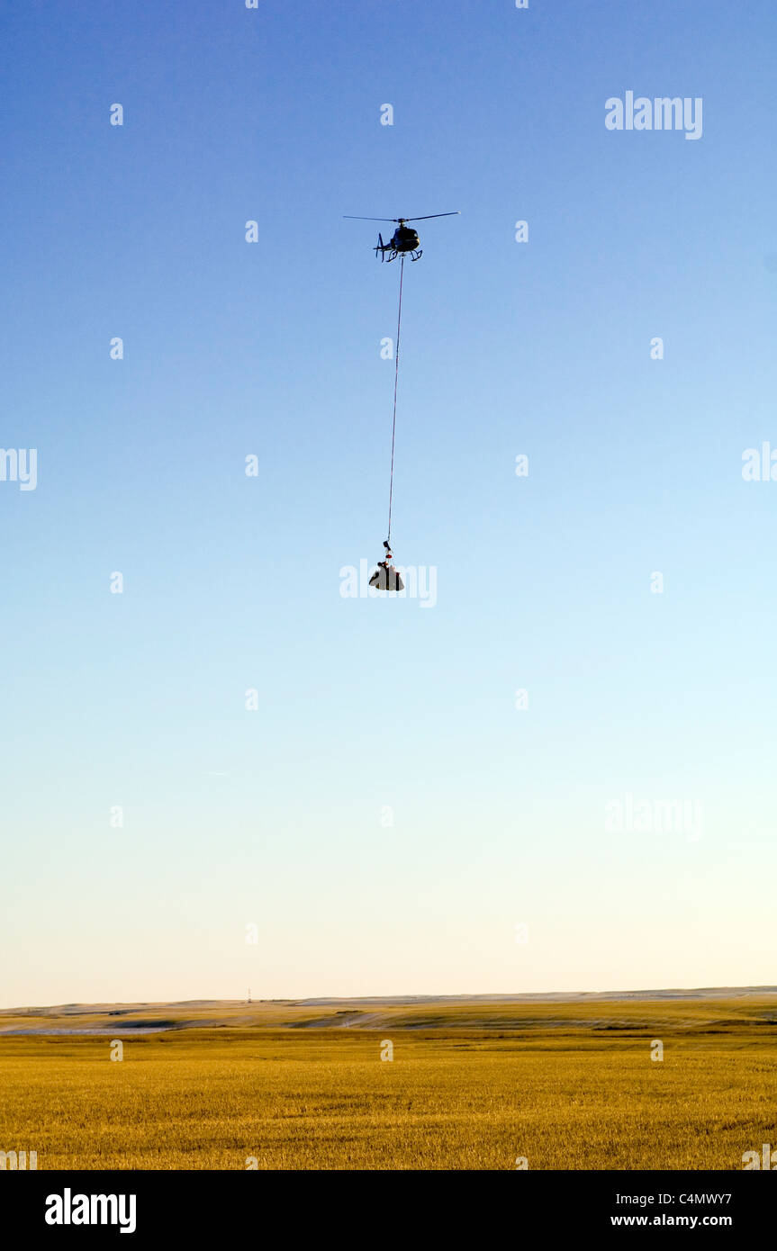 Helicopter lifting seismic cables for oil & natural gas exploration ...