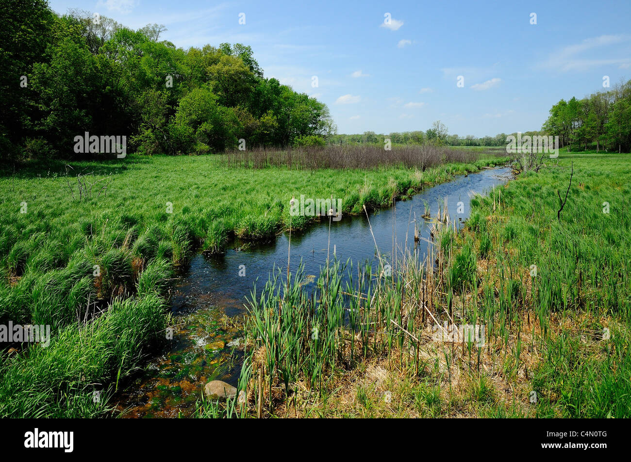 Stream running into glacial bog at Moraine Hills State Park in Northern ...