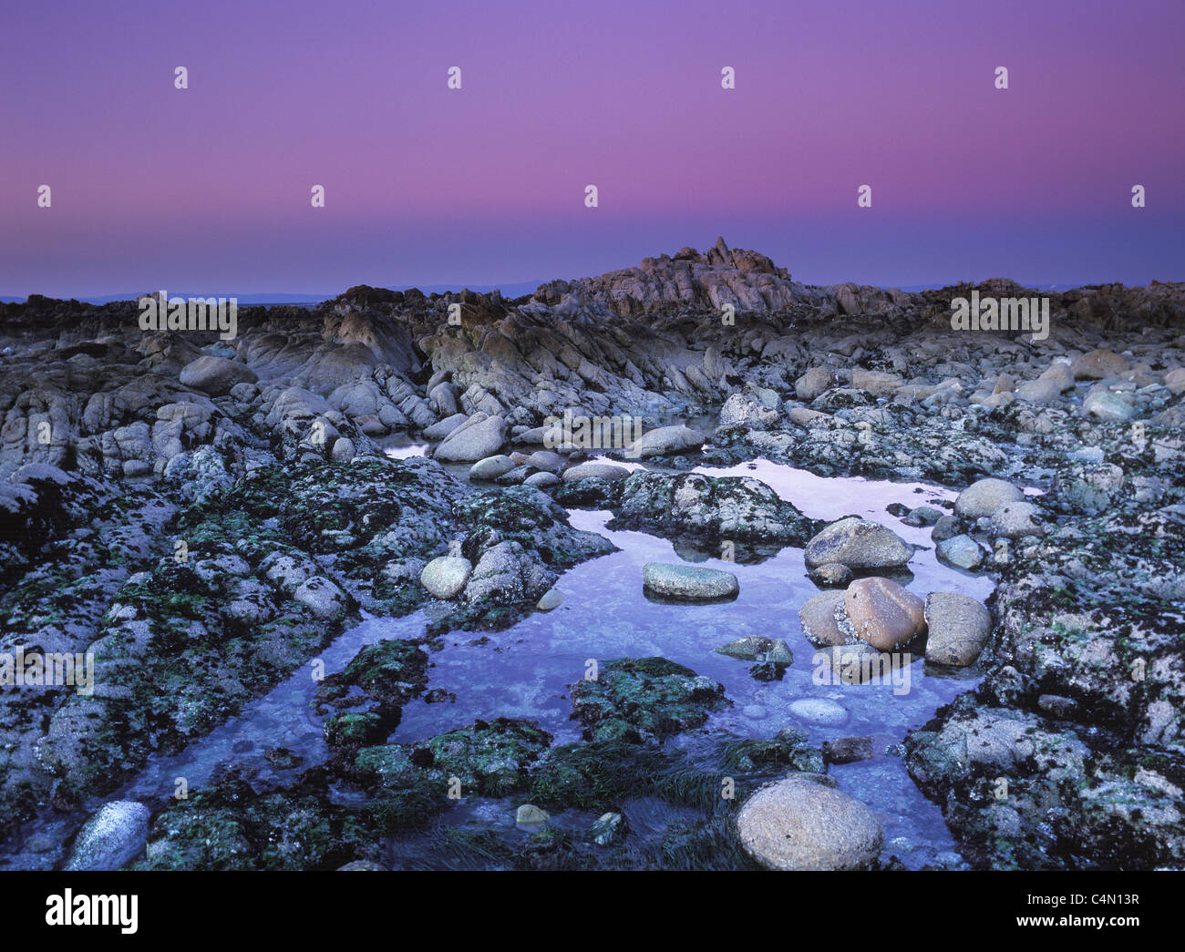 Tidepool High Resolution Stock Photography and Images - Alamy