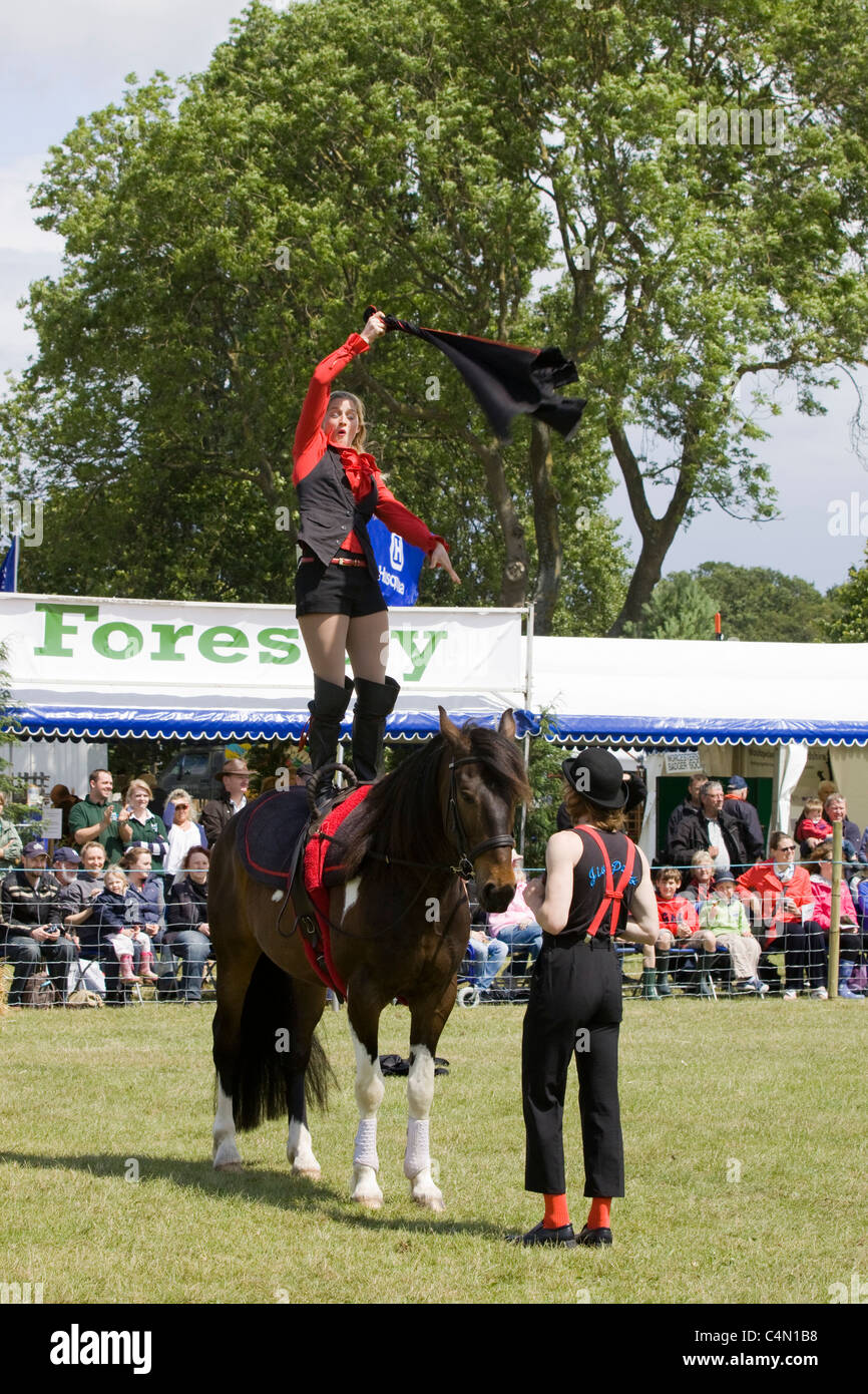 Equestrian vaulting hi-res stock photography and images - Alamy