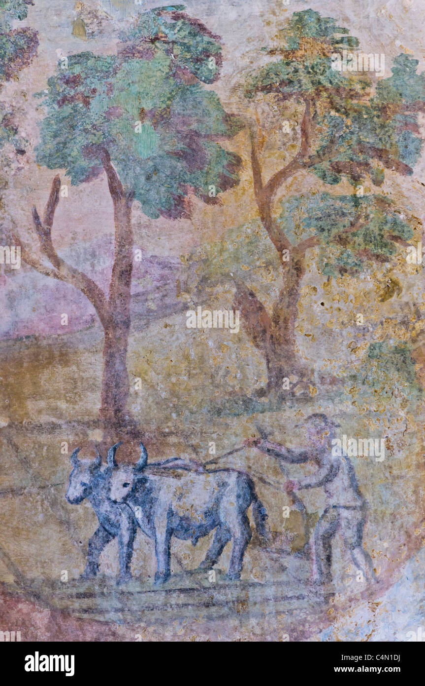 Convicinio di San Antonio, Sassi Caveoso, Matera. Farming scenes in ...