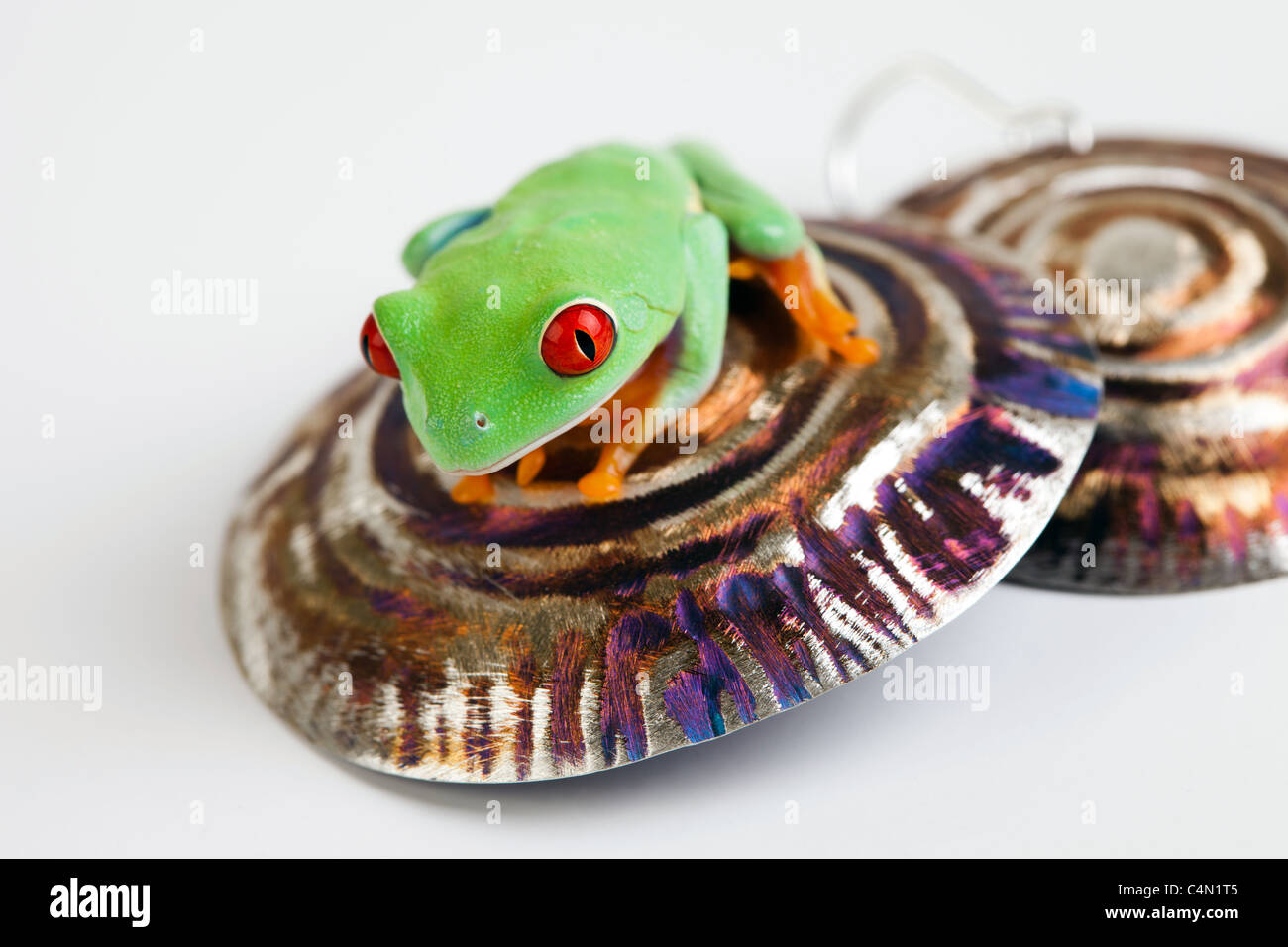 Beige frog hi-res stock photography and images - Alamy