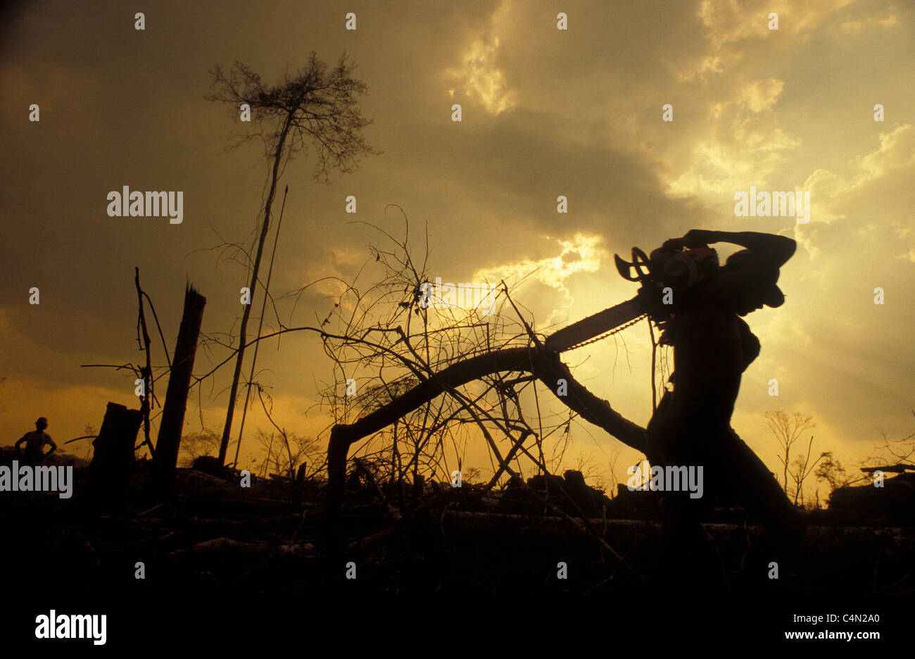 Amazon rain forest deforestation, Acre State, Brazil Stock Photo - Alamy
