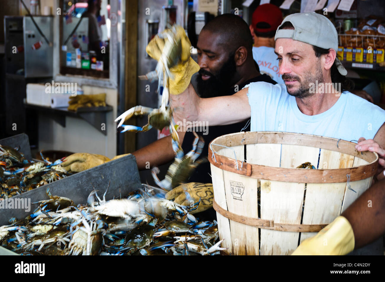WASHINGTON DC, United States — Fresh blue crabs displayed for sale at ...