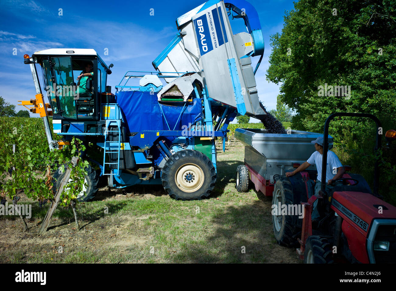 Tractor trailer grape harvesting machine hi-res stock photography and ...