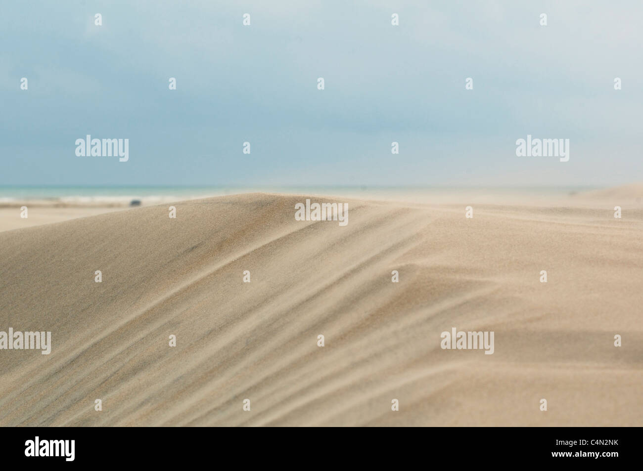 windy Sand Dune Stock Photo - Alamy