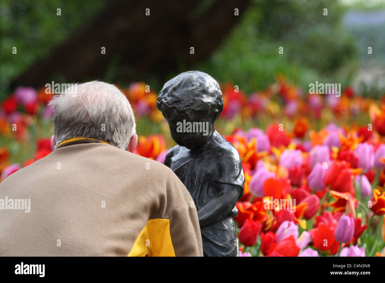 Man looking at statue in flower garden Stock Photo - Alamy
