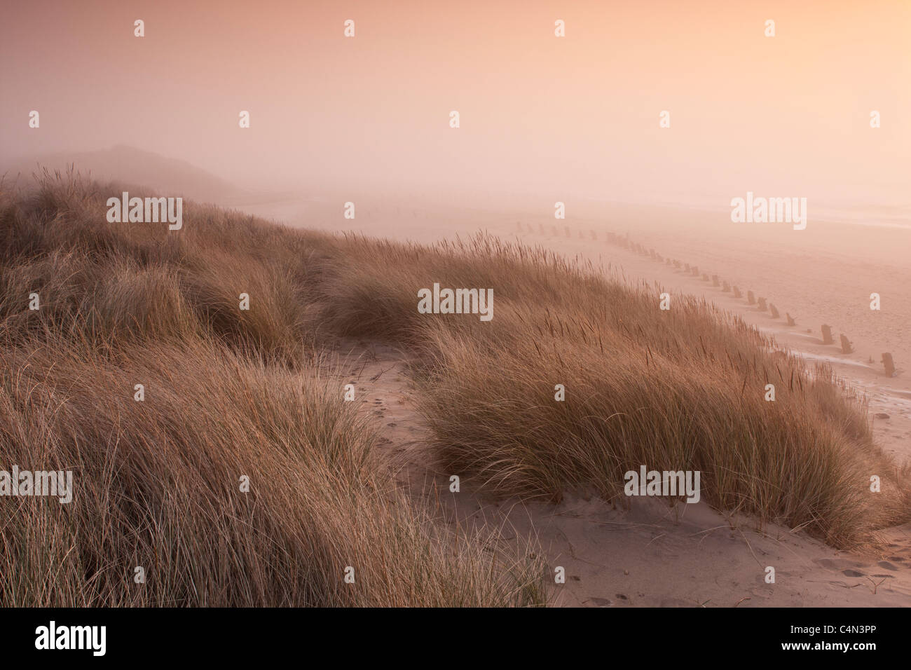 Spurn head dune hi-res stock photography and images - Alamy