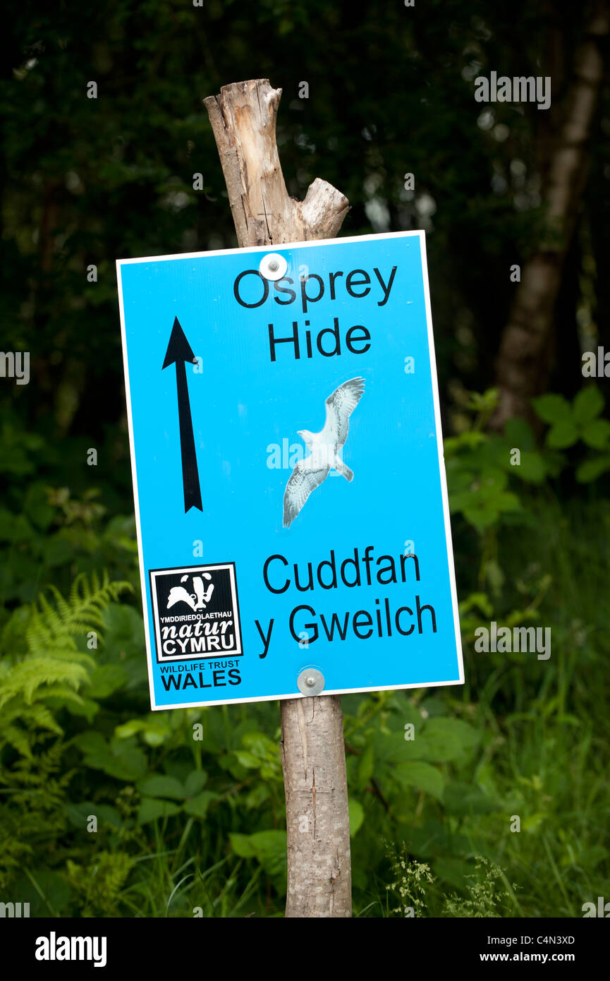 Cors dyfi wildlife reserve hi-res stock photography and images - Alamy