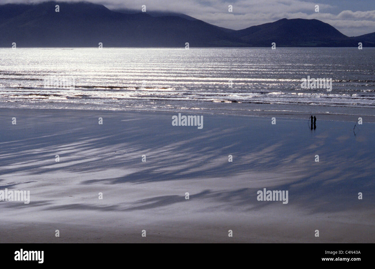 Inch strand, Dingle bay, on the west coast of Ireland Stock Photo - Alamy