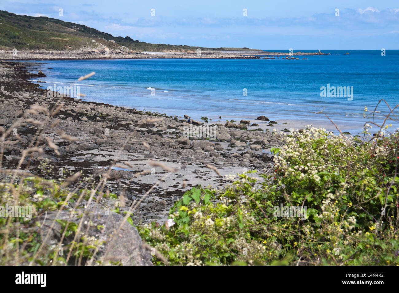 View of Coverack Bay on the Lizard Peninsula, Cornwall (UK Stock Photo ...