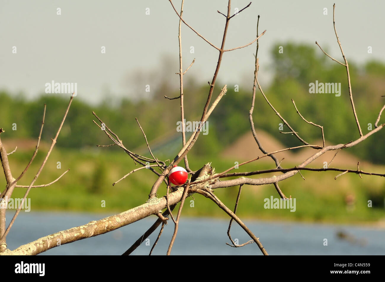 Plastic snagged tree hi-res stock photography and images - Alamy