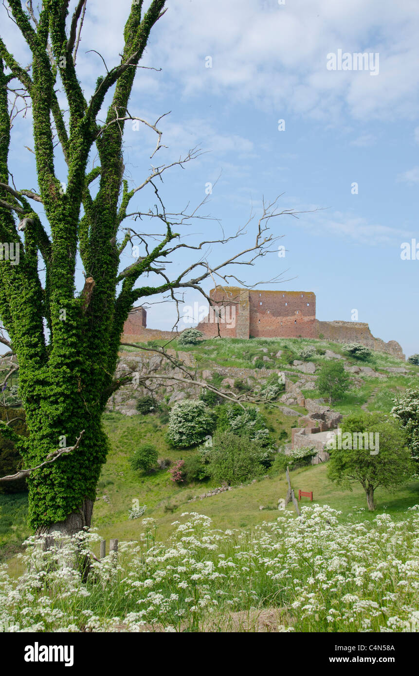 Denmark, Island of Bornholm. Ruins of Hammershus Castle, the largest ...