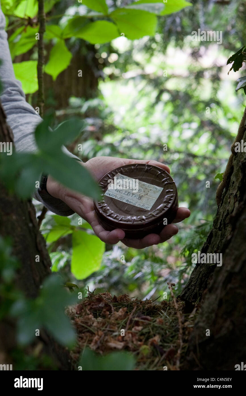 Holding geocache hi-res stock photography and images - Alamy