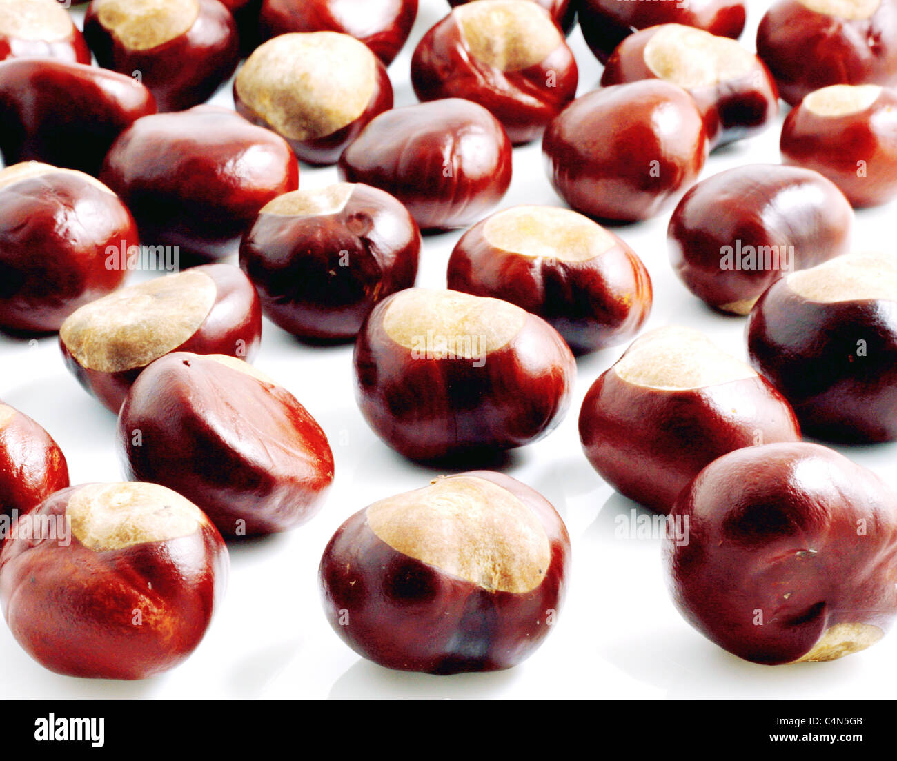 Chestnut oil extract hi-res stock photography and images - Alamy